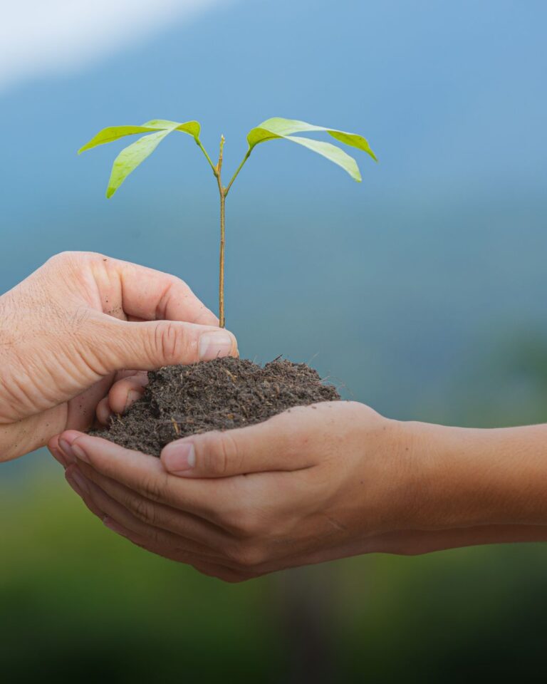 Construyendo juntos un futuro más sostenible