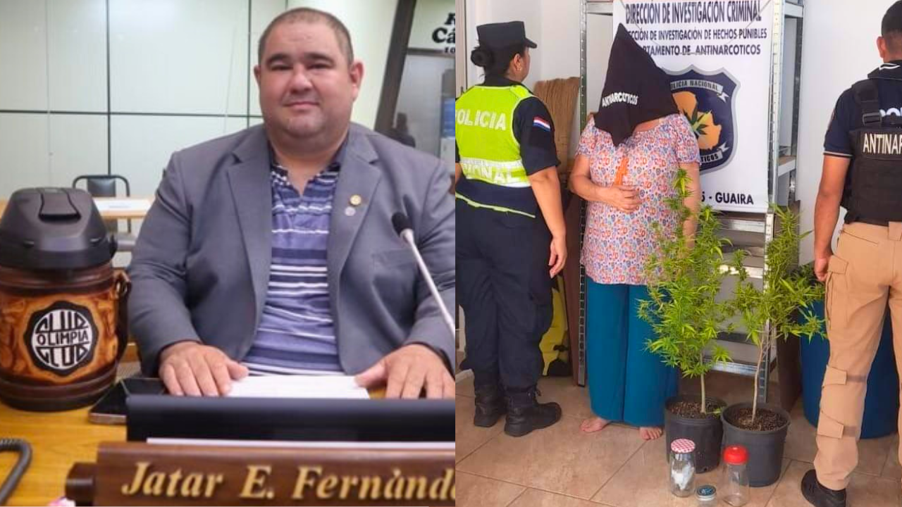 Diputado Fernández presentará proyecto de legalización de la marihuana Diputado Fernández presentará proyecto de legalización de la marihuana