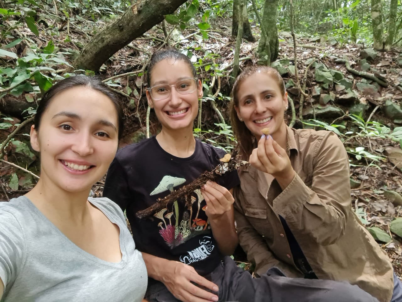 Investigadoras paraguayas redescubren misterioso hongo