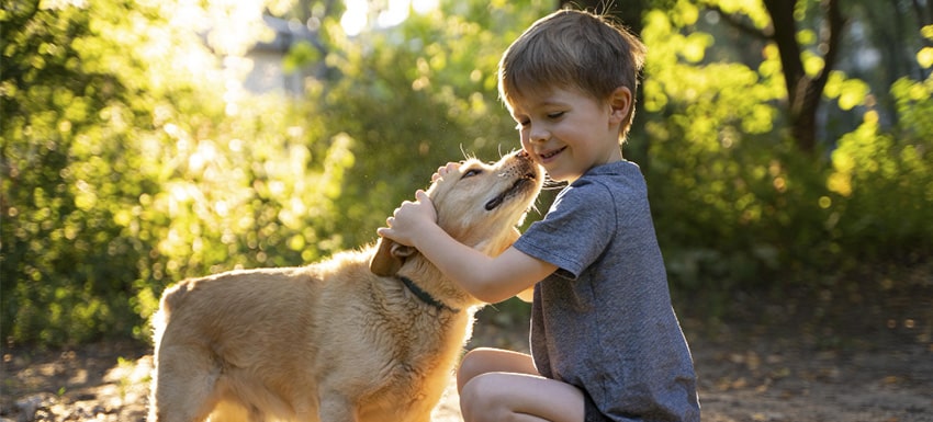 Mascotas ¿por Qué Desarrollamos Un Vínculo Tan Especial Con Ellos