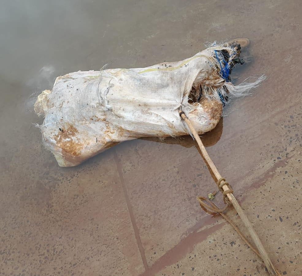 Elementos apuntan a que cuerpo hallado en el río Paraná sería el de ...